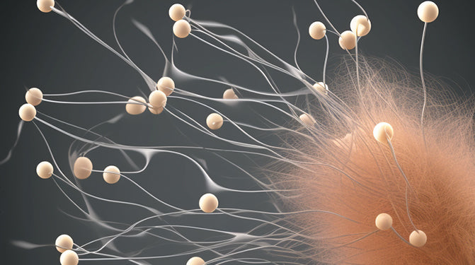 The Science of Haircare: Understanding Ingredients for Healthy Locks ...